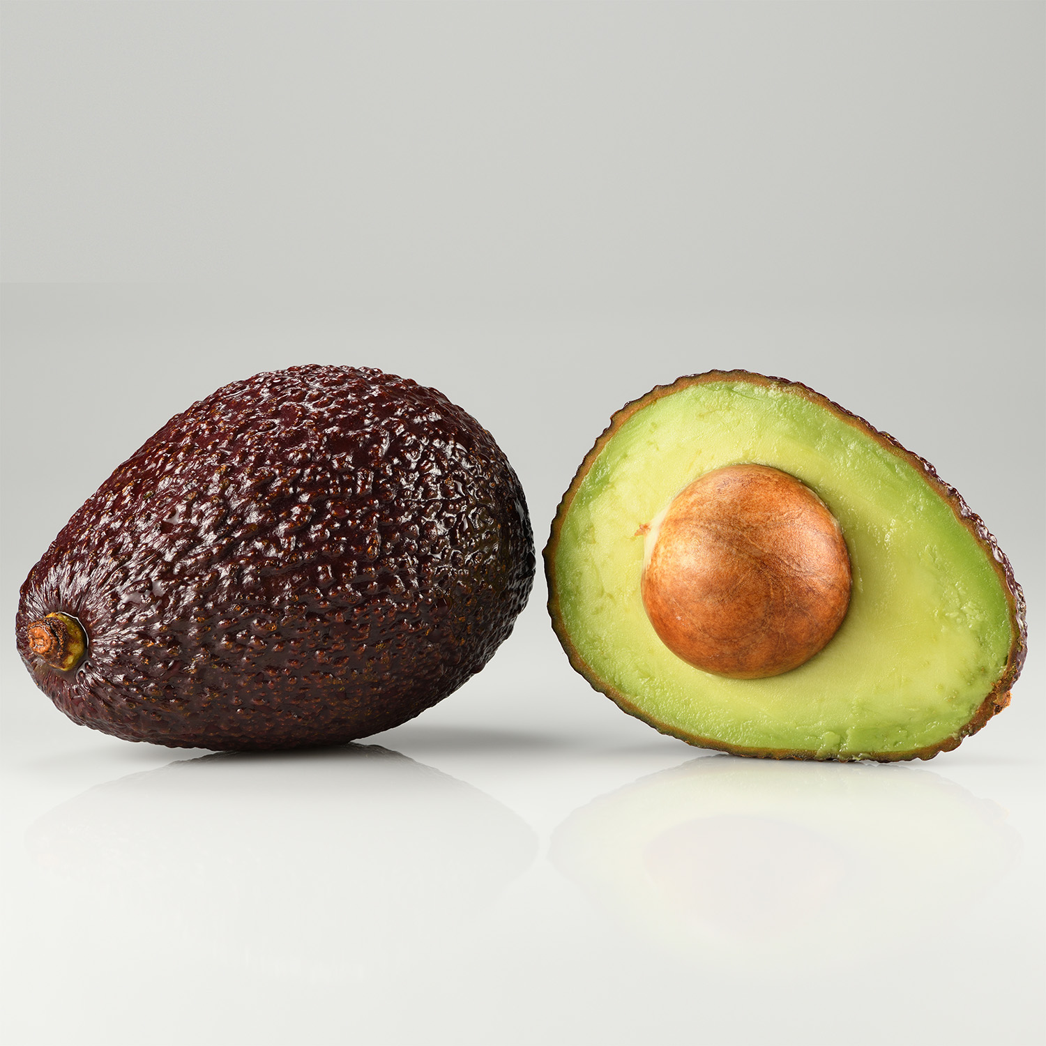 Avocado 'Hass' : venda Avocado 'Hass' / Persea americana 'Hass'