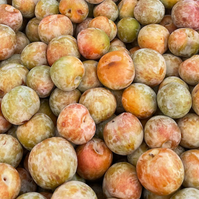 Alperce-Ameixa Pluot 'Dapple Dandy' : venda Alperce-Ameixa Pluot ...