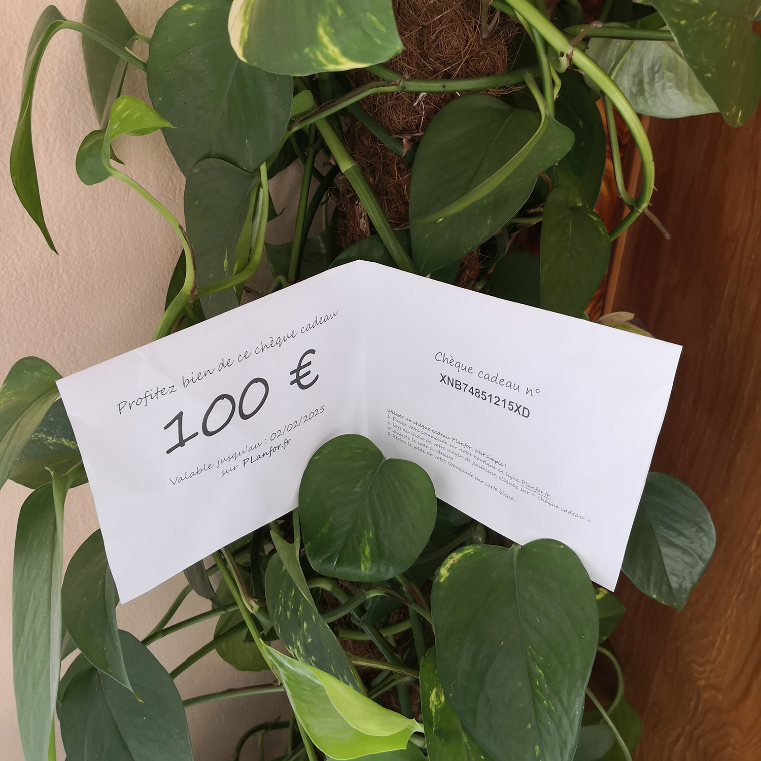 Cheque-Prenda Aniversário : venda Cheque-Prenda Aniversário